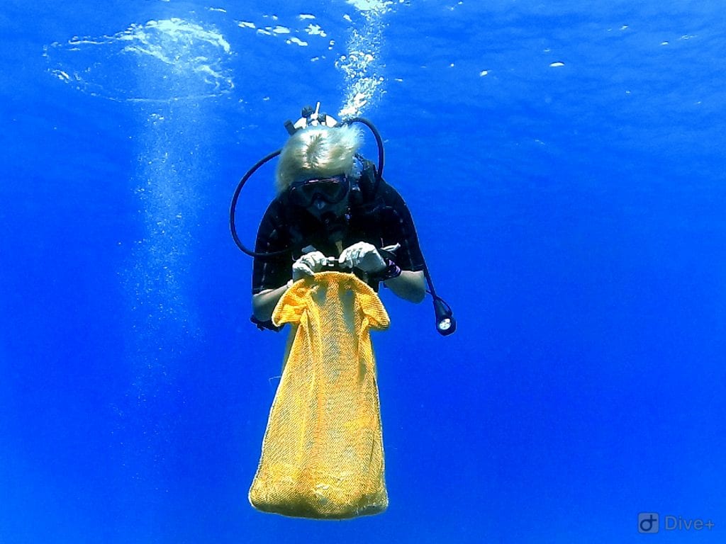 Superior Dive Sosua - Ocean Clean Up in the Dominican Republic