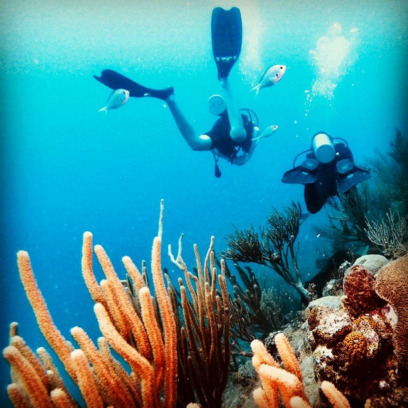 Opening a PADI Dive Center in the Dominican Republic an Expat's Blog