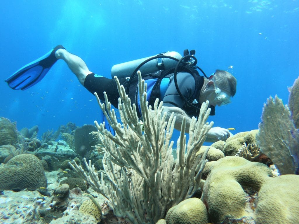 Opening a PADI Dive Center in the Dominican Republic an Expat's Blog