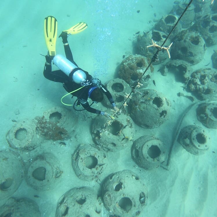 Scuba Diving in Sosua Bay on the North Coast of the Dominican Republic