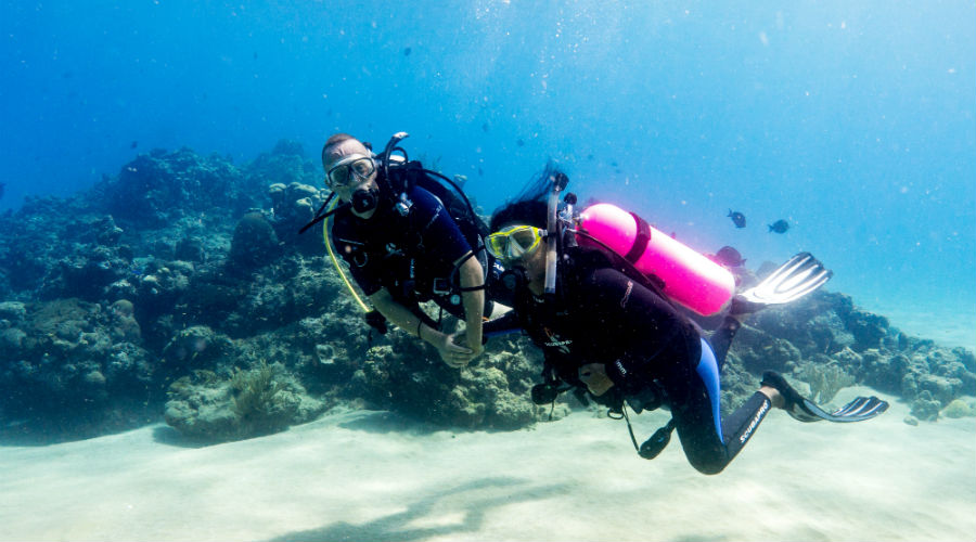 Scuba Diving in the Dominican Republic - Superior Dive Sosua