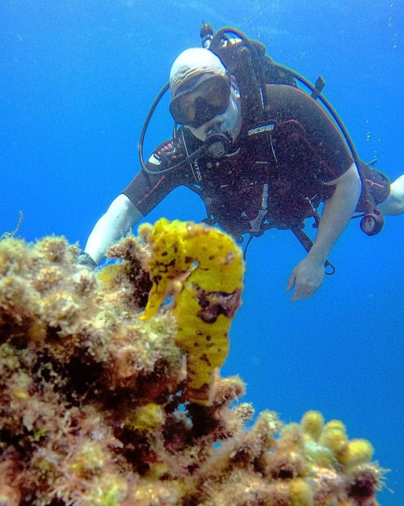 Scuba Diving in Sosua Bay on the North Coast of the Dominican Republic